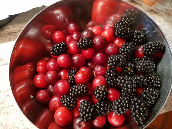 Schokokuchen mit Kriecherl – genussfaktor